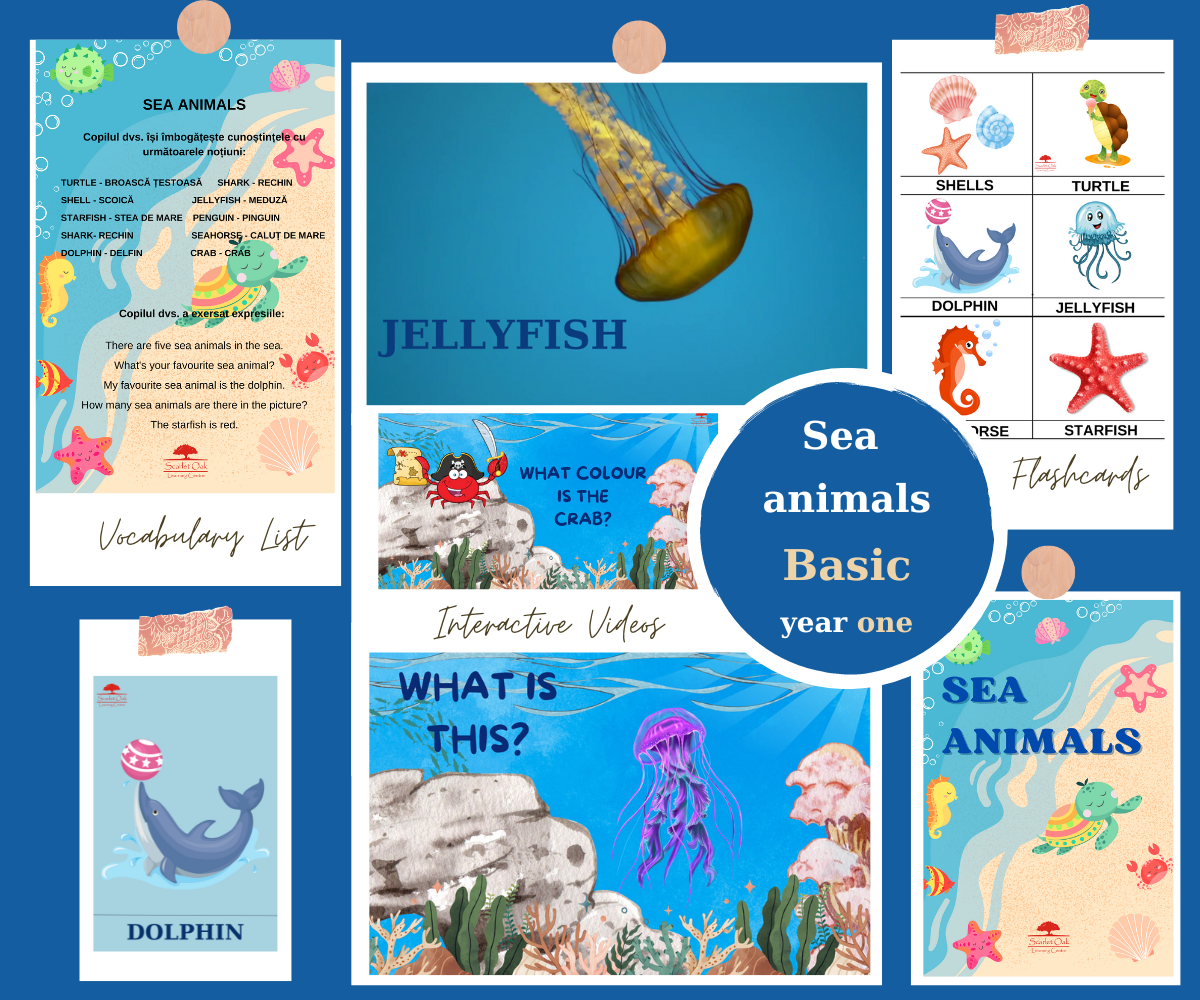 Sea Animals (Year 1 of study) - Basic Pack - Fise de Lucru in Limba ...