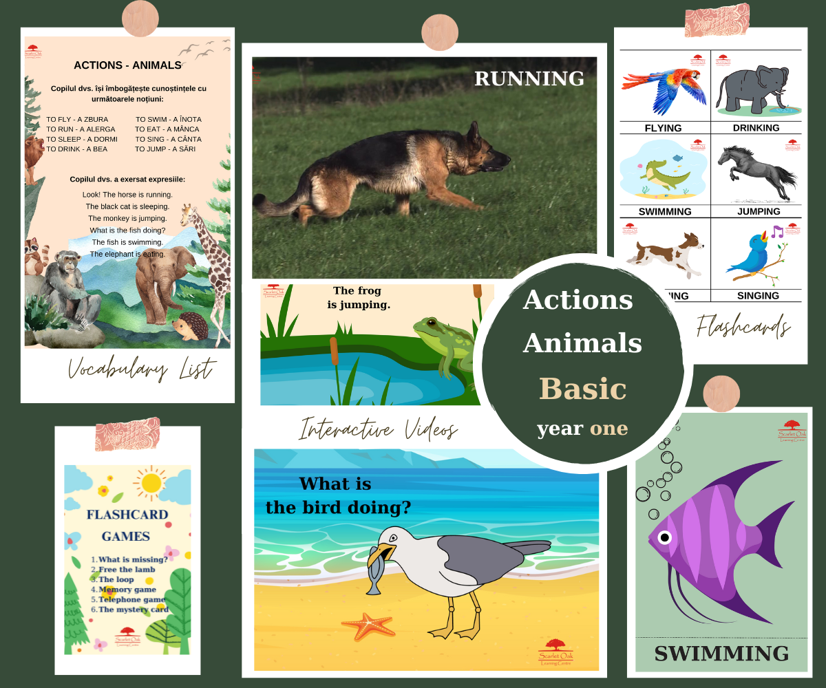 Actions Animals (Year 1 of Study) - Basic Pack - Fise de Lucru in Limba ...